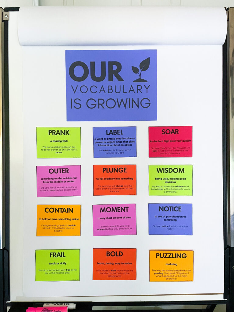 11 Fun Ideas to Help Your Students Build a Robust Vocabulary - Shelley Gray